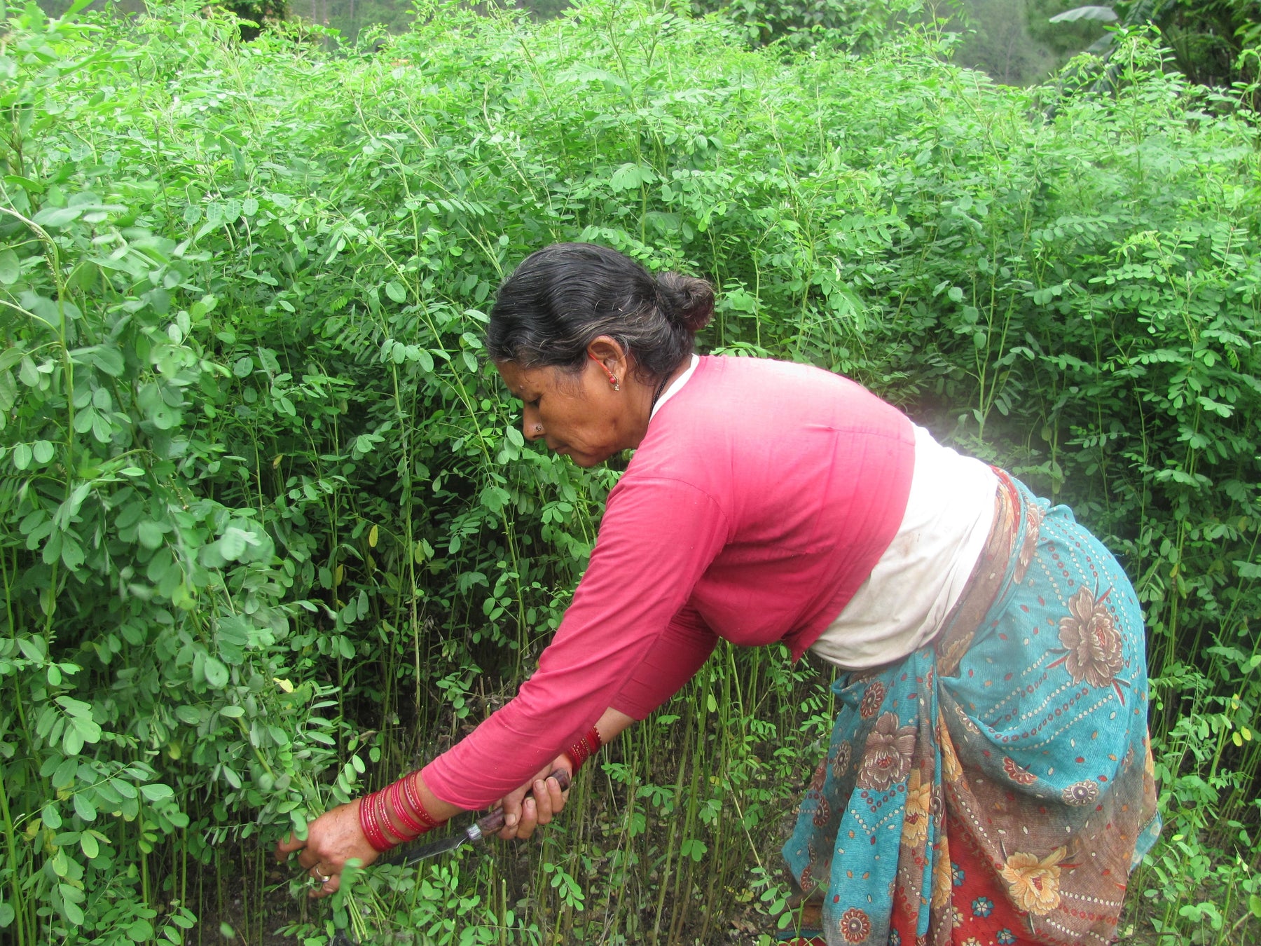 Sprout Enterprise® Network